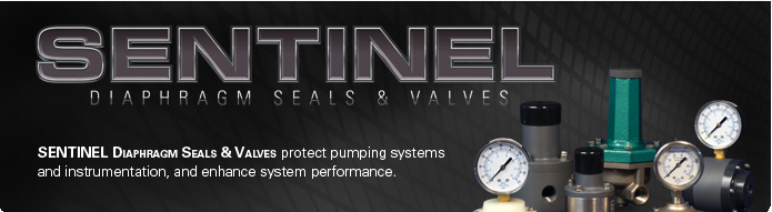 Hans Industrial Valves and Pumps Faridabad